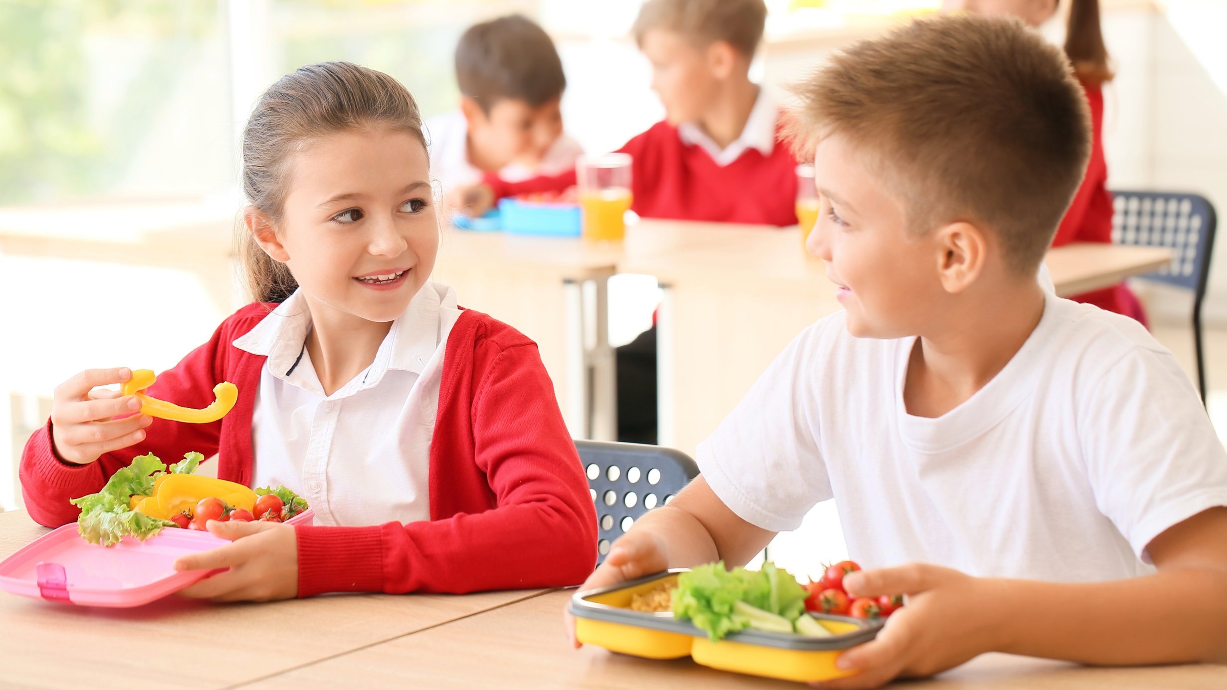 The Complete Guide to School Food Safety