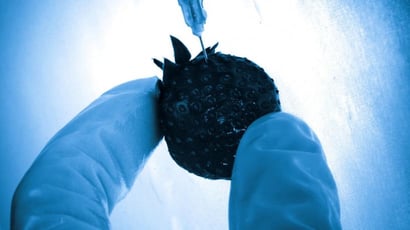 Understanding Genetically Modified (GM) Foods: Facts You Should Know