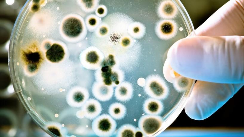 5 Infamous Food Poisoning Cases and Lessons Learned