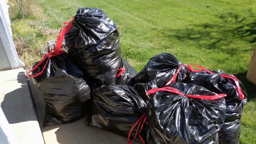 Queensland’s Safe Food Waste Disposal Guide for Residents