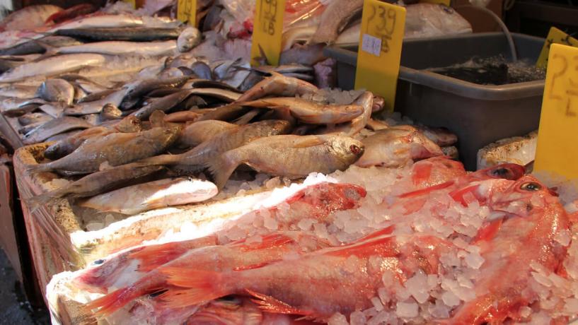 Fresh Fish Safety: Tips for Safe Preparation and Consumption