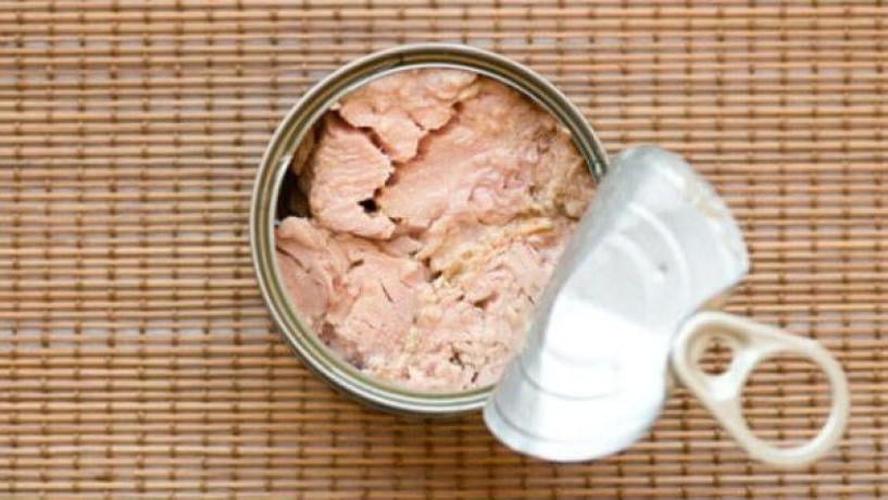 Glass in Canned Fish? A Closer Look at Struvite