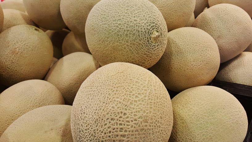 Food Safety Tips for Rockmelon Growers and Distributors